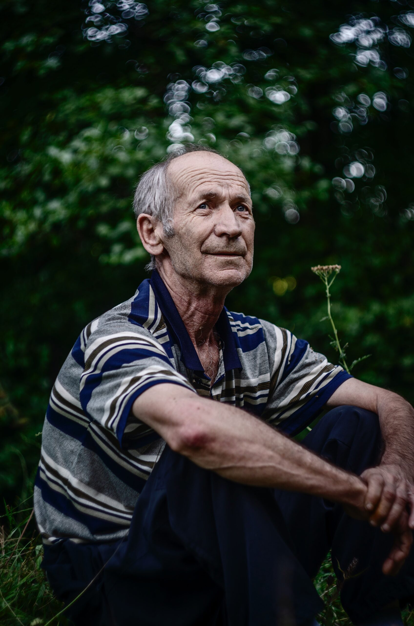 Learning About Normal Aging and Capacity Can Prevent Future Family ...